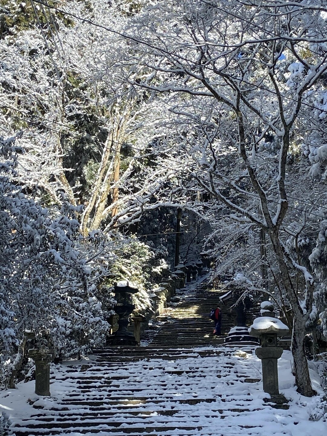 愛宕山 / ko-1さんの愛宕山・三頭山・朝日峯の活動データ | YAMAP / ヤマップ