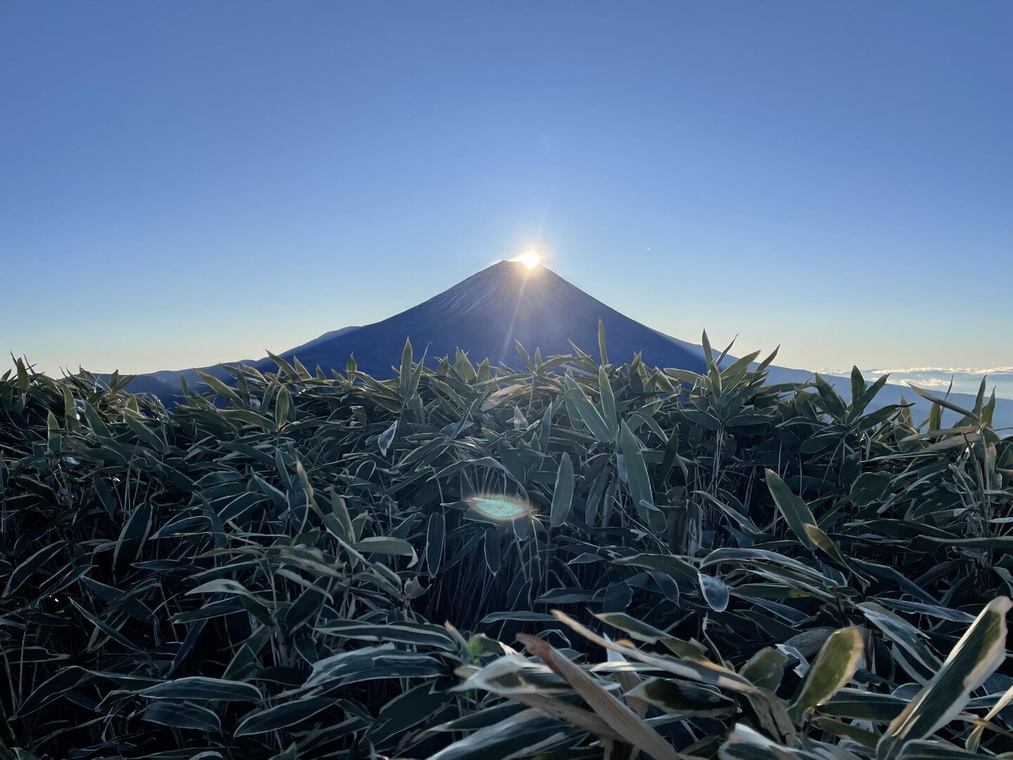 竜ヶ岳🐉 ダイヤモンド富士💎 / chiさんの毛無山・雨ヶ岳・竜ヶ岳の活動データ | YAMAP / ヤマップ