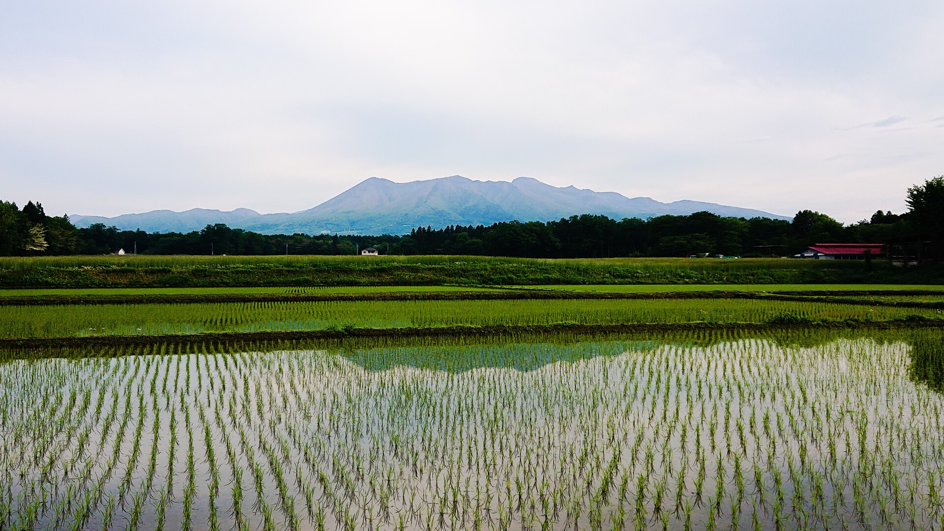 休みの日は雨が続く。。。 今度の休みは... / ☆WHITE FOX彡さんのモーメント | YAMAP / ヤマップ
