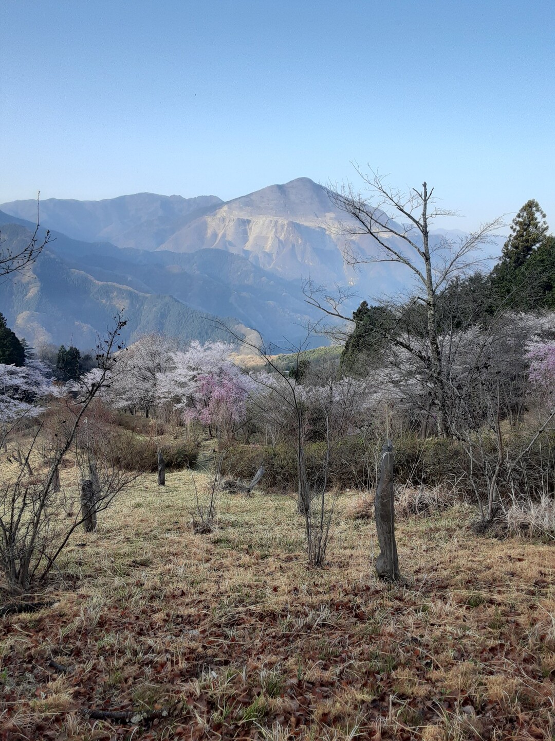 丸山・伊豆ヶ岳・武甲山縦走 / yuki さんの武甲山・伊豆ヶ岳・小持山の活動日記 | YAMAP / ヤマップ
