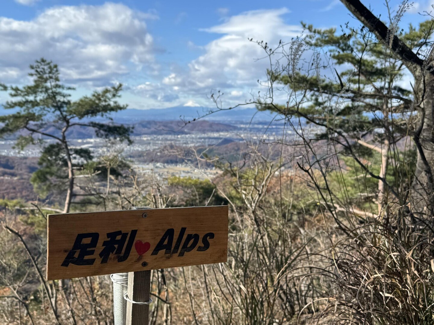 足利アルプス縦走 行道山〜両崖山 / aomoriさんの両崖山・仙人ヶ岳・石尊山の活動データ | YAMAP / ヤマップ