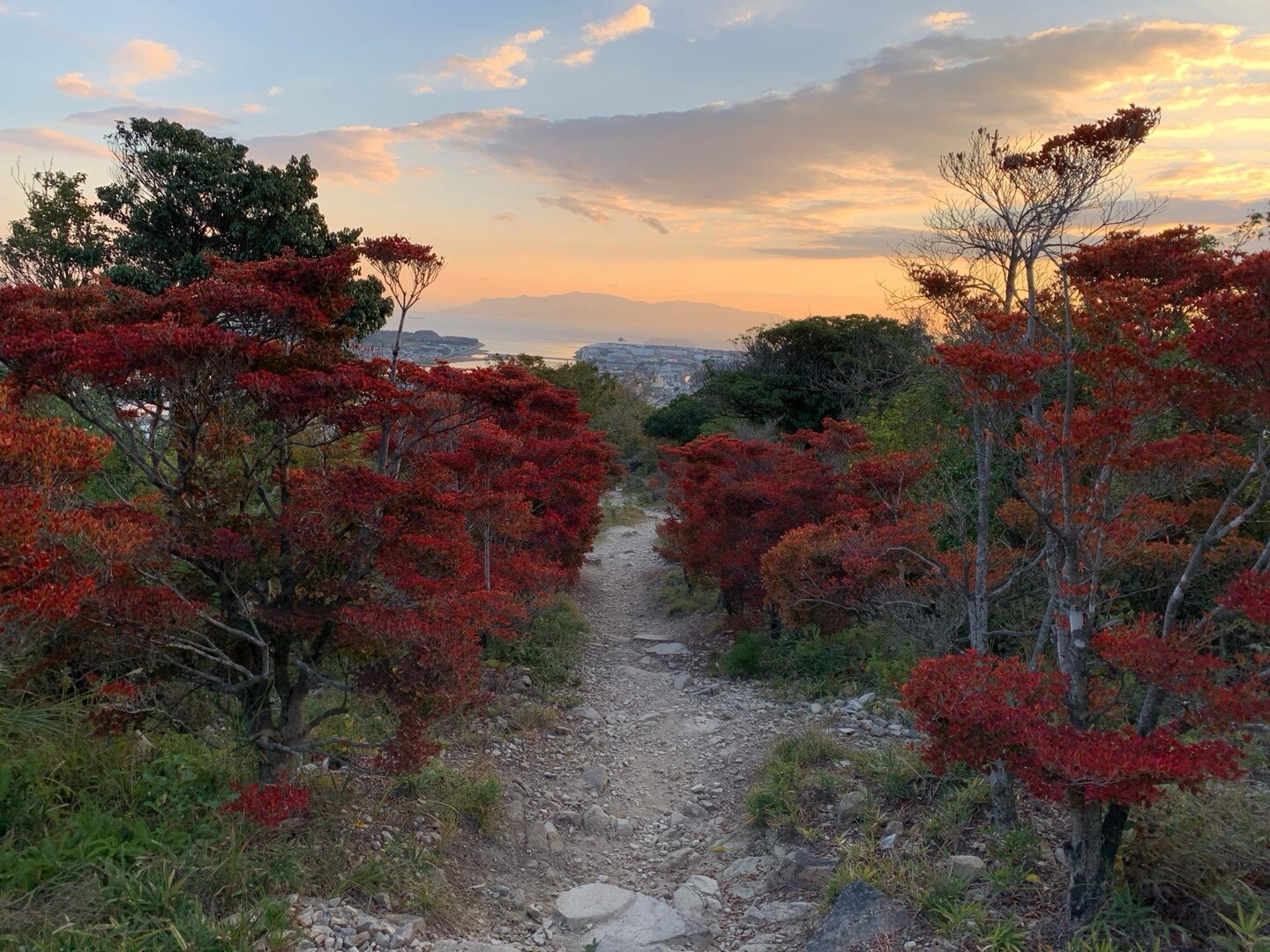 夕暮れno山歩き / kinocoさんの雄鷹台山の活動データ | YAMAP / ヤマップ