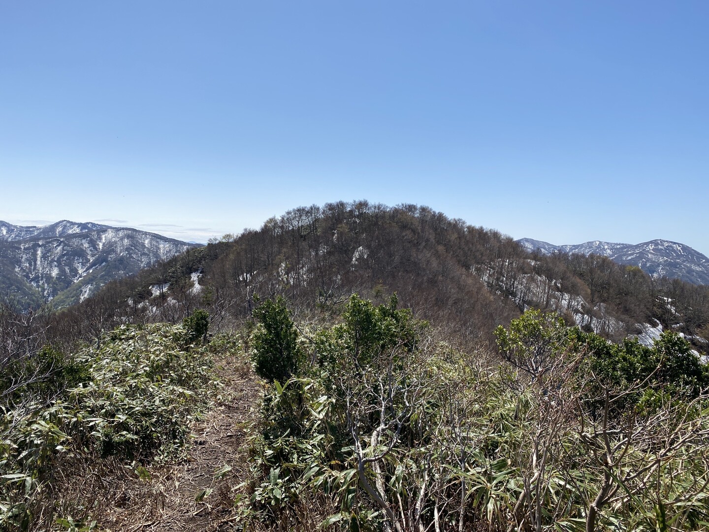 菅倉山 / jt0450さんの菅倉山の活動データ | YAMAP / ヤマップ