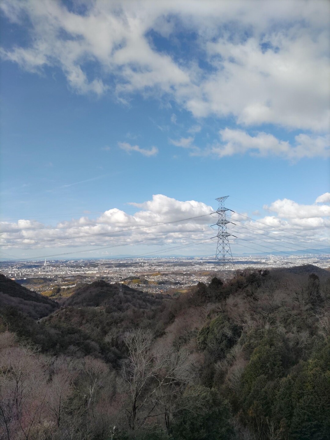 二上山（雌岳）・二上山（雄岳） / T64さんの金剛山・二上山・大和葛城山の活動データ | YAMAP / ヤマップ