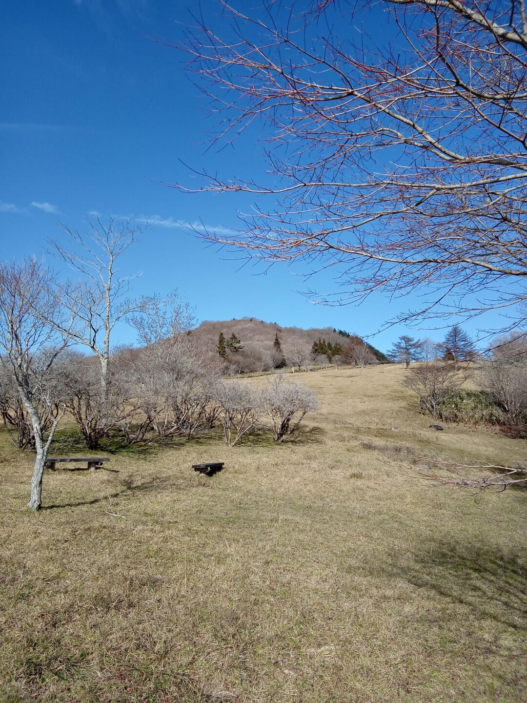 茶臼山 / f-muraさんの茶臼山・萩太郎山の活動データ | YAMAP / ヤマップ