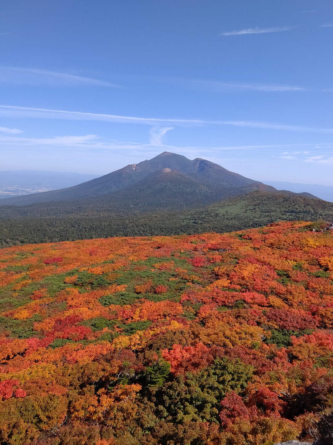 大深岳・諸桧岳・三ッ石山-2019-09-27 / maoさんの三ッ石山・大深岳・諸桧岳の活動データ | YAMAP / ヤマップ