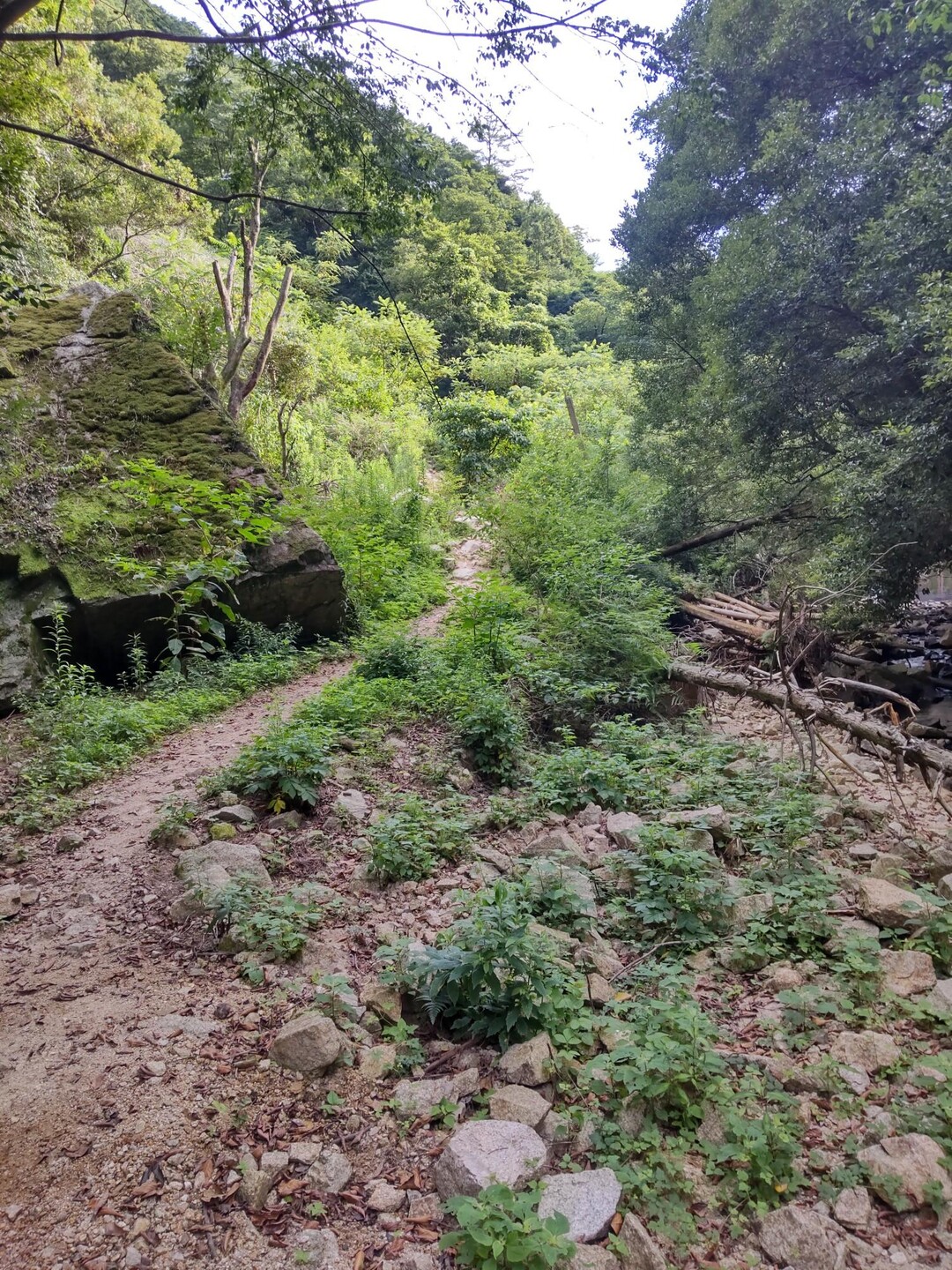 miyukyさんの投稿したフィールドメモ | YAMAP / ヤマップ