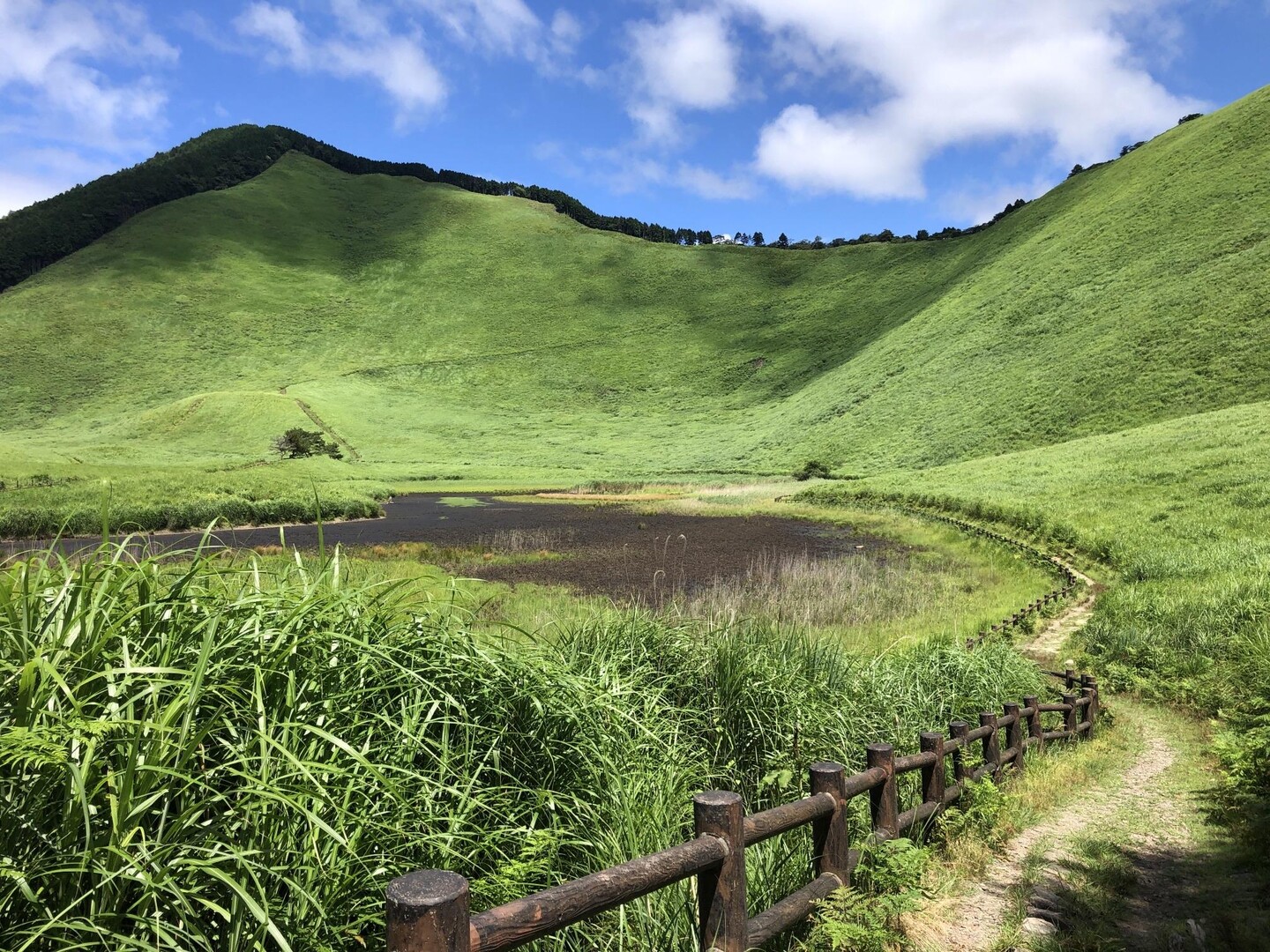 曽爾高原 / neroliさんのウォーキングの活動データ | YAMAP / ヤマップ