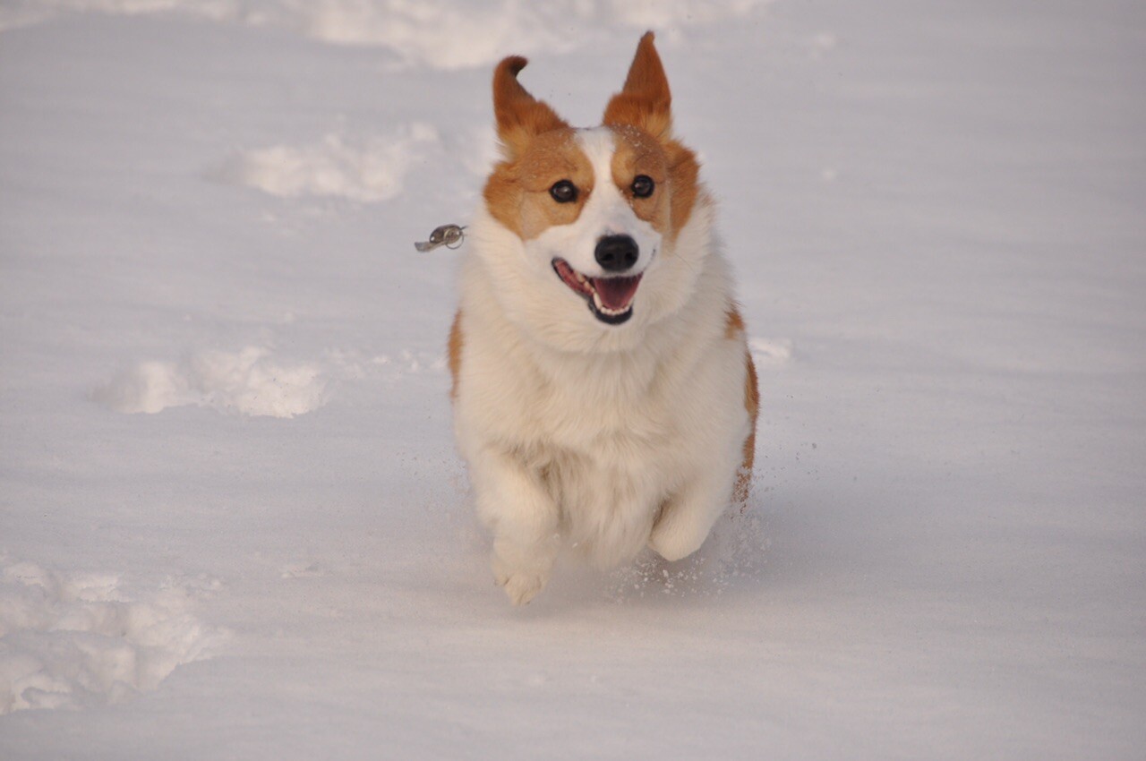 Mitのページ | YAMAP / ヤマップ