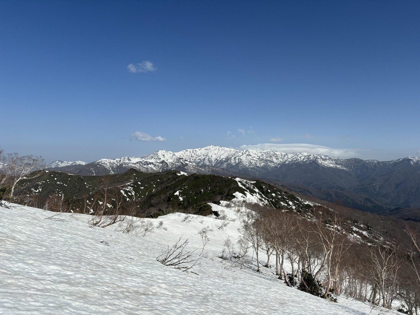 大日ヶ岳 / ONOさんの大日ヶ岳・毘沙門岳の活動データ | YAMAP / ヤマップ