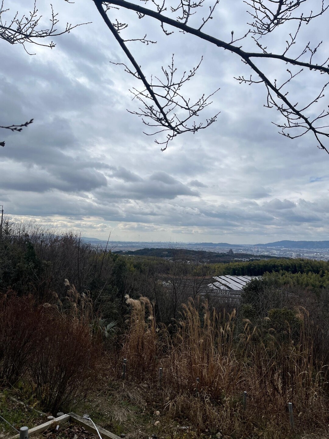 大岩山NO34 / うめさんさんの京都一周トレイルの活動データ | YAMAP / ヤマップ