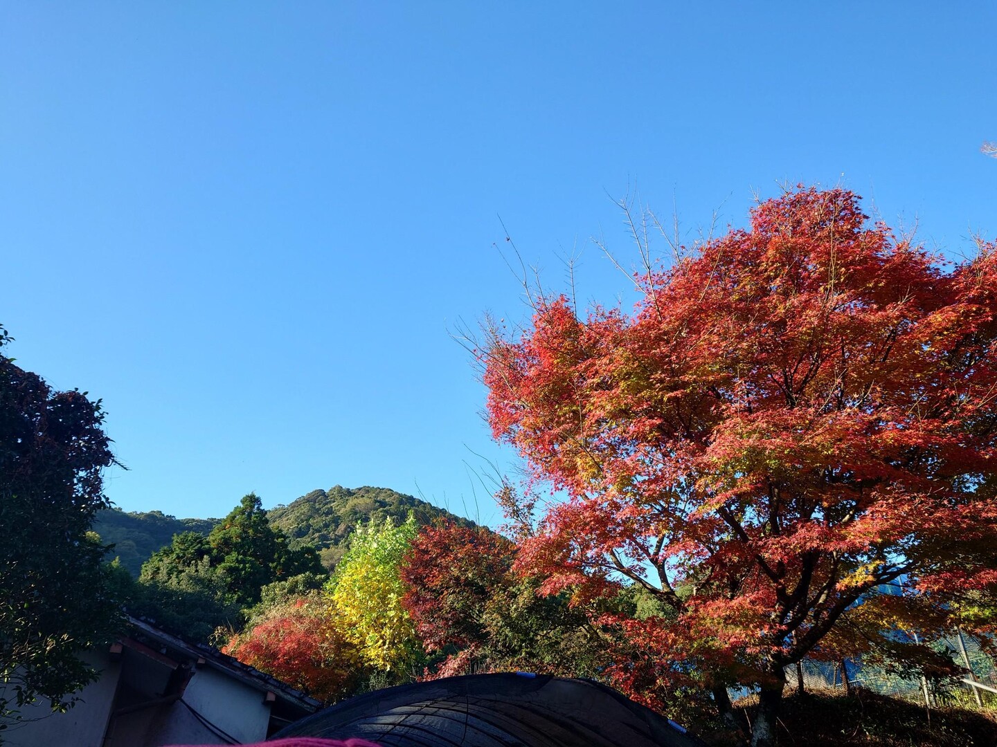 初めてだらけの本妙寺山・天狗山・小萩山・荒尾山 / ヨコティさんの金峰山・二ノ岳・三ノ岳の活動データ | YAMAP / ヤマップ