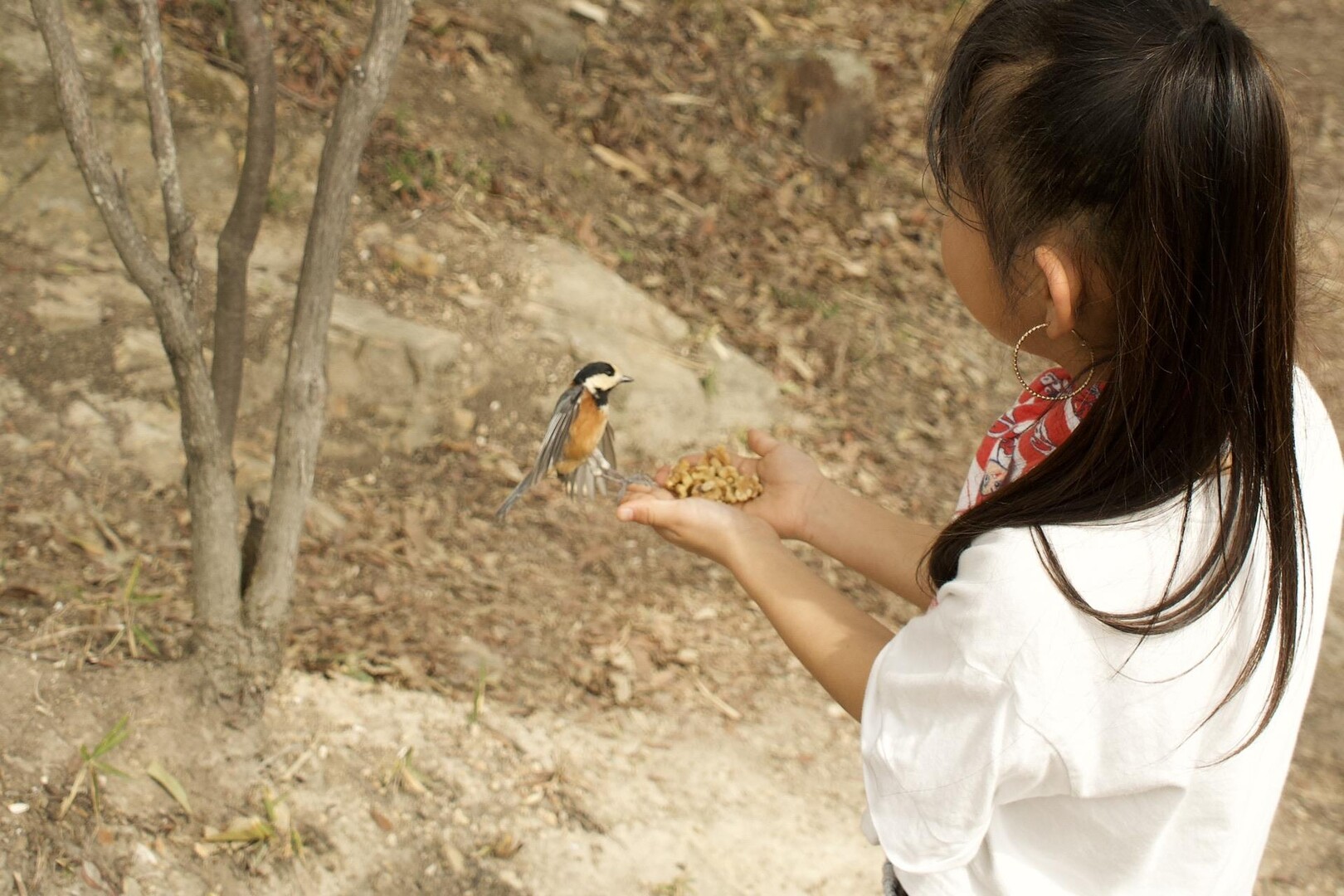 1号、2号、3号！！！出動だっ！ / - ̗̀ ☺︎ ̖́-Sen_sun- ̗̀ ☺︎ ̖́-さんの蔵王山の活動データ | YAMAP / ヤマップ