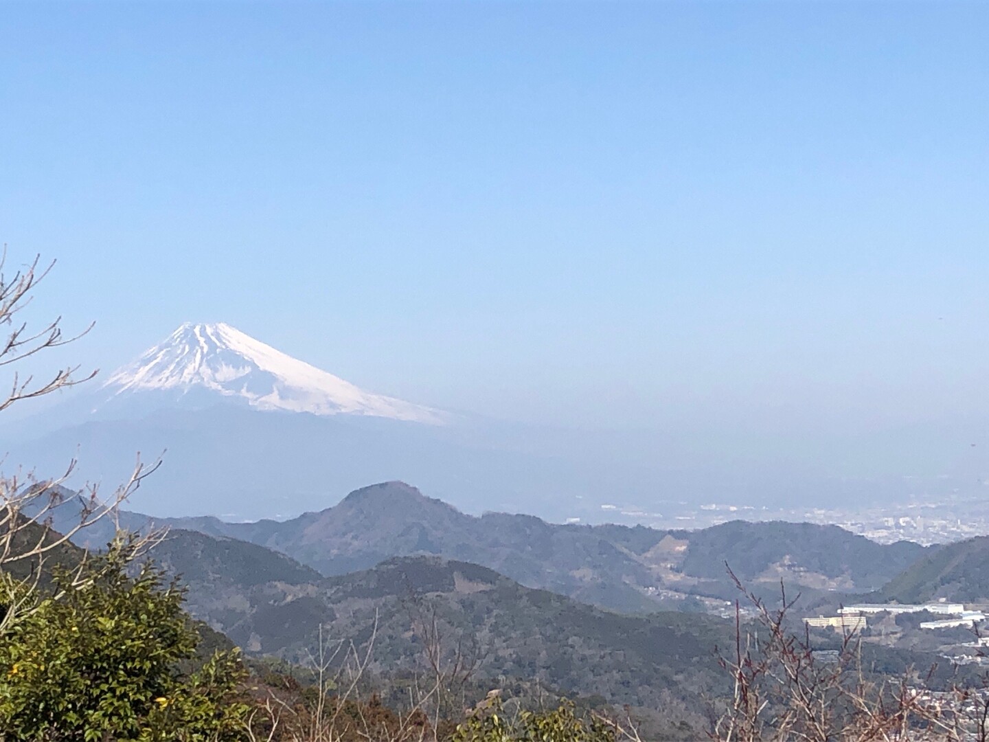 城山・葛城山・発端丈山 / うめパパさんの金冠山・達磨山・葛城山の活動データ | YAMAP / ヤマップ