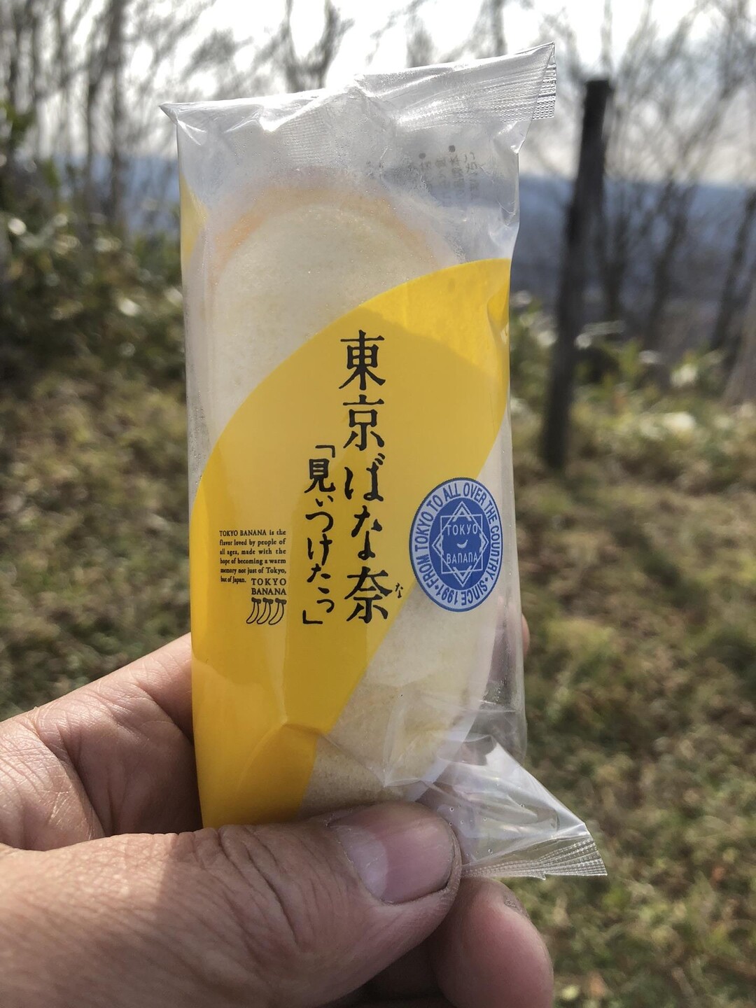 冷水山 / booさんの冷水山の活動データ | YAMAP / ヤマップ