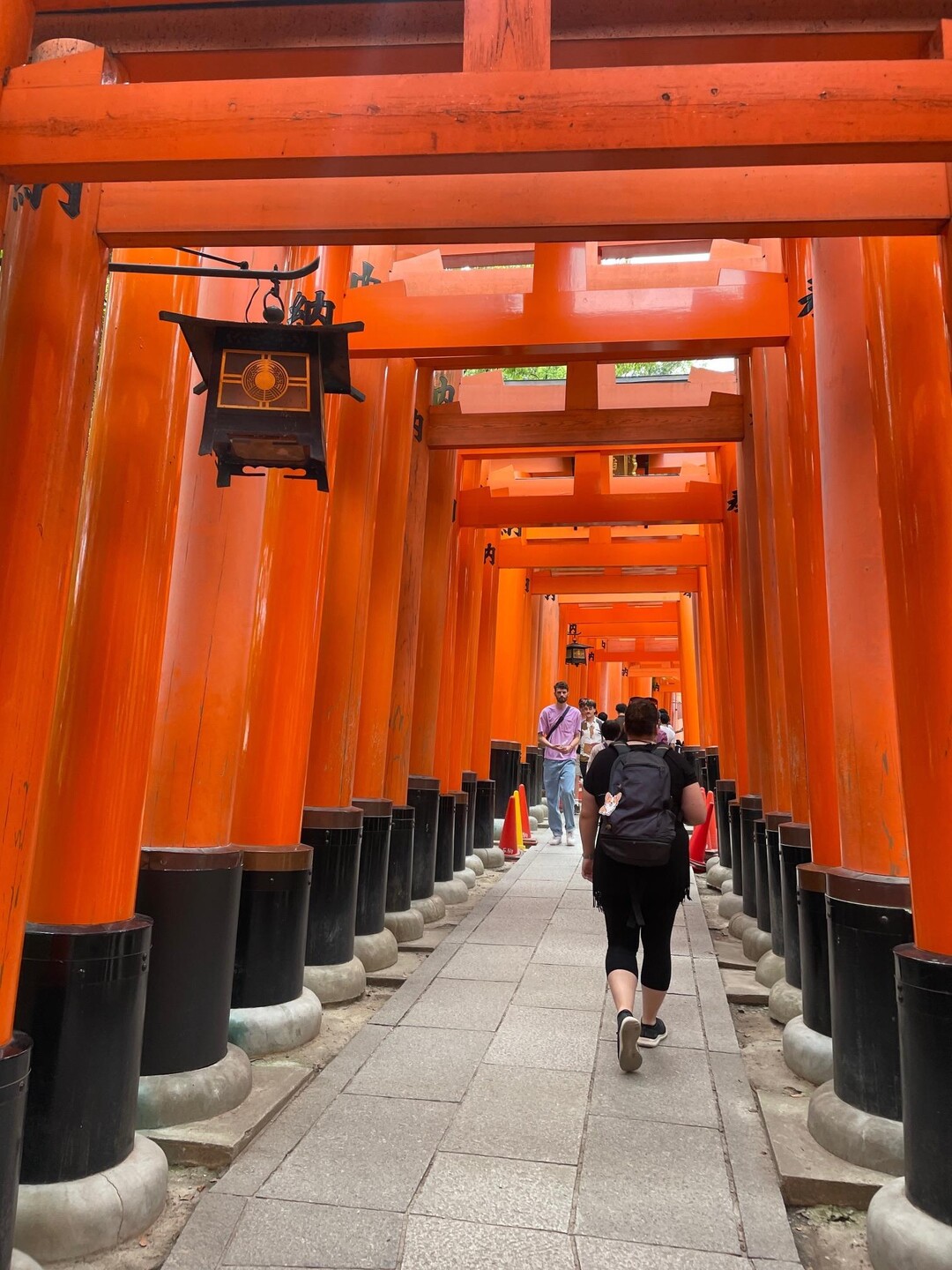 京都一周トレイル-2023-06-18 / kazuさんの京都一周トレイルの活動データ | YAMAP / ヤマップ