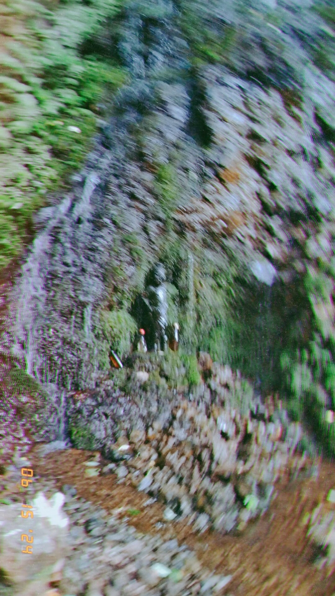 蕃山エリア（×3） / KOB.uskさんの太白山・萱ヶ崎山・蕃山の活動データ | YAMAP / ヤマップ