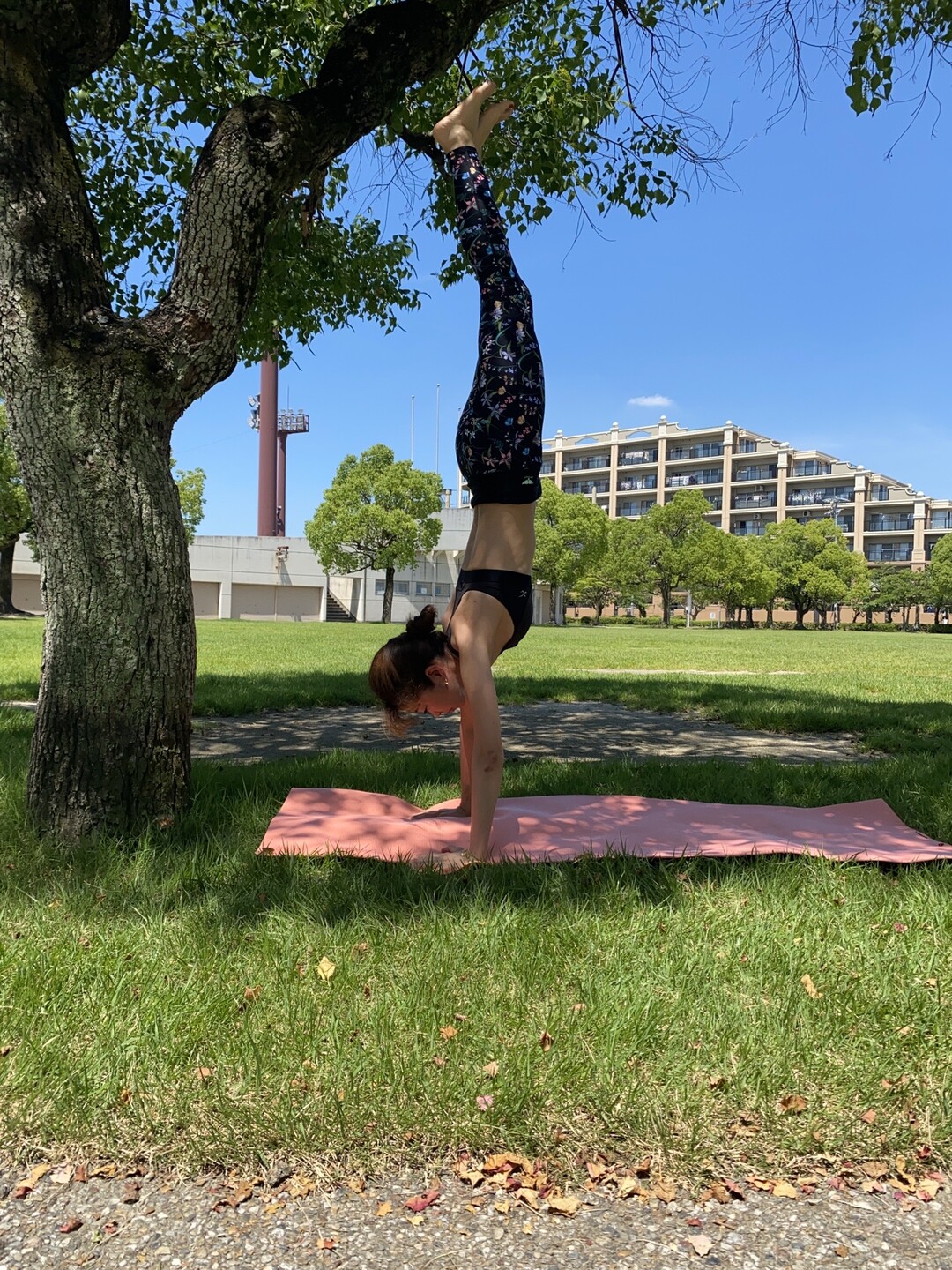 ランニング-ヨガ / Asukaさんのランニングの活動データ | YAMAP / ヤマップ