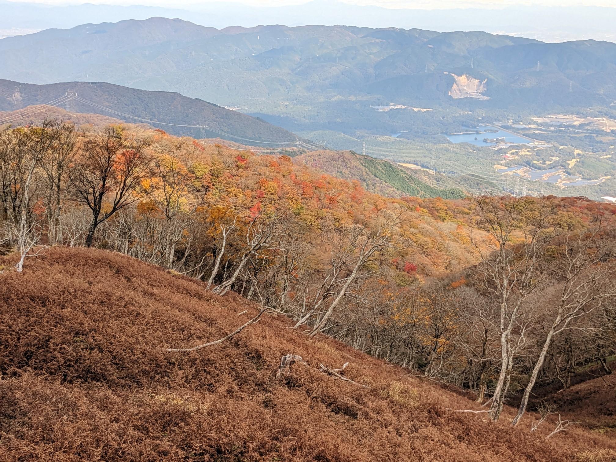 鈴北岳・御池岳の稜線は天国だね♪♡😁 / Mountain hiroさんの天狗堂の活動データ | YAMAP / ヤマップ