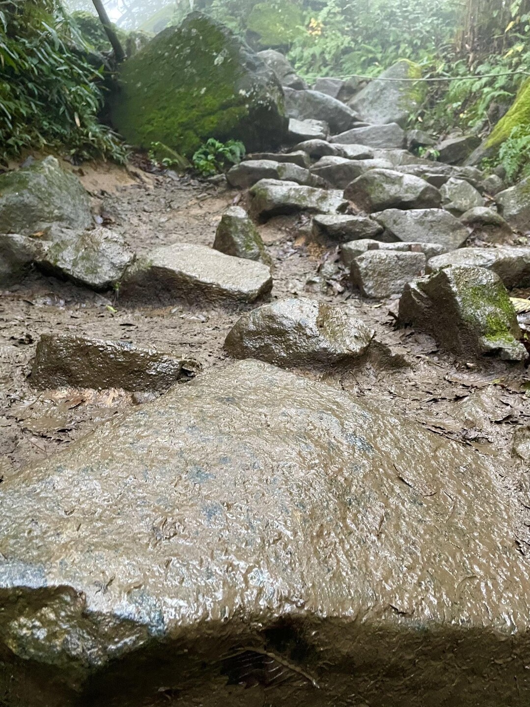 筑波山🏃‍♂️ヌレトレ😁 / machanさんの筑波山の活動データ | YAMAP / ヤマップ