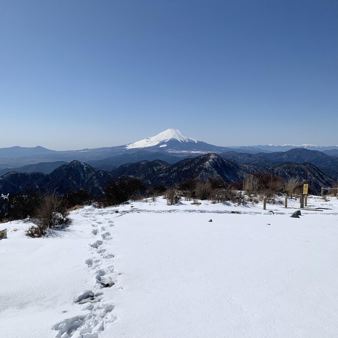 姫次・蛭ヶ岳 / koki matsuokaさんの塔ノ岳・丹沢山・蛭ヶ岳の活動データ | YAMAP / ヤマップ