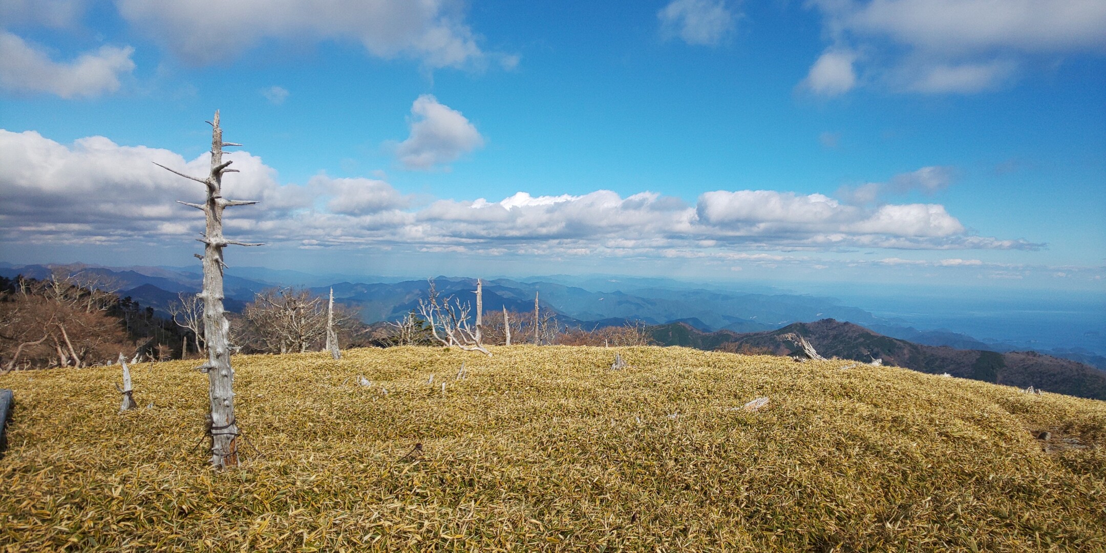Sunちゃん0315さんの投稿したフィールドメモ | YAMAP / ヤマップ