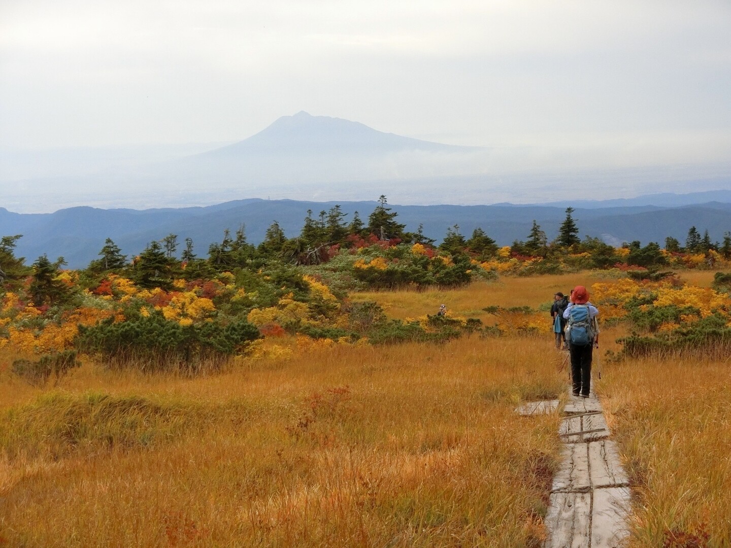 八甲田山と奥入瀬2019-09-28～29 / chiさんの八甲田山・高田大岳・雛岳の活動日記 | YAMAP / ヤマップ