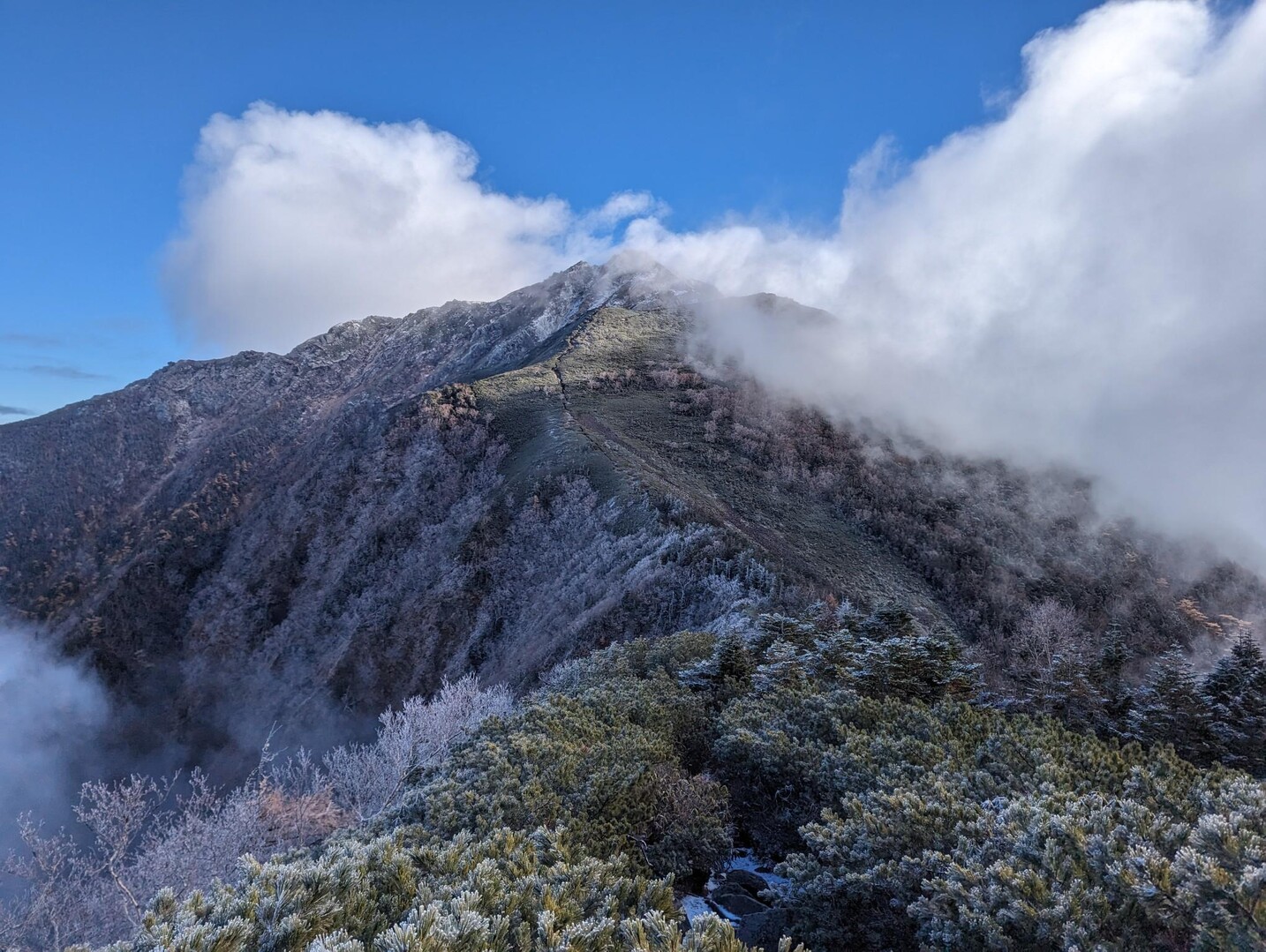 双児山・駒津峰・甲斐駒ヶ岳 / nicomomoさんの甲斐駒ヶ岳・日向山の活動データ | YAMAP / ヤマップ