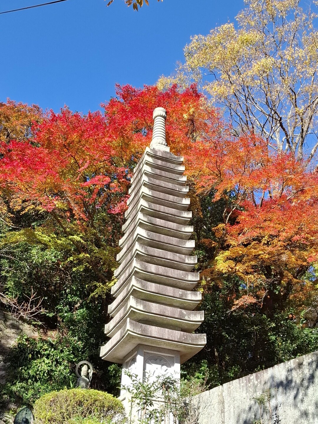 中津峰山、如意輪寺の紅葉&丈六寺 / マックスさんの中津峰山・平石山・古田山の活動データ | YAMAP / ヤマップ
