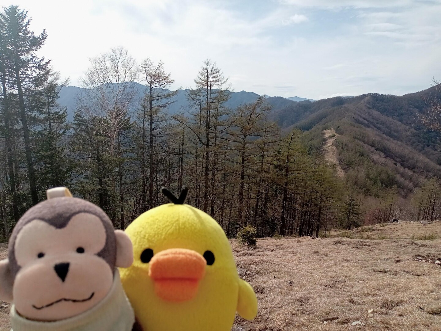 新緑の尾根歩き！奥多摩（鍾乳洞バス停〜長沢背稜〜石尾根〜奥多摩駅） / monkichi_1さんの雲取山・鷹ノ巣山・七ツ石山の活動データ | YAMAP / ヤマップ