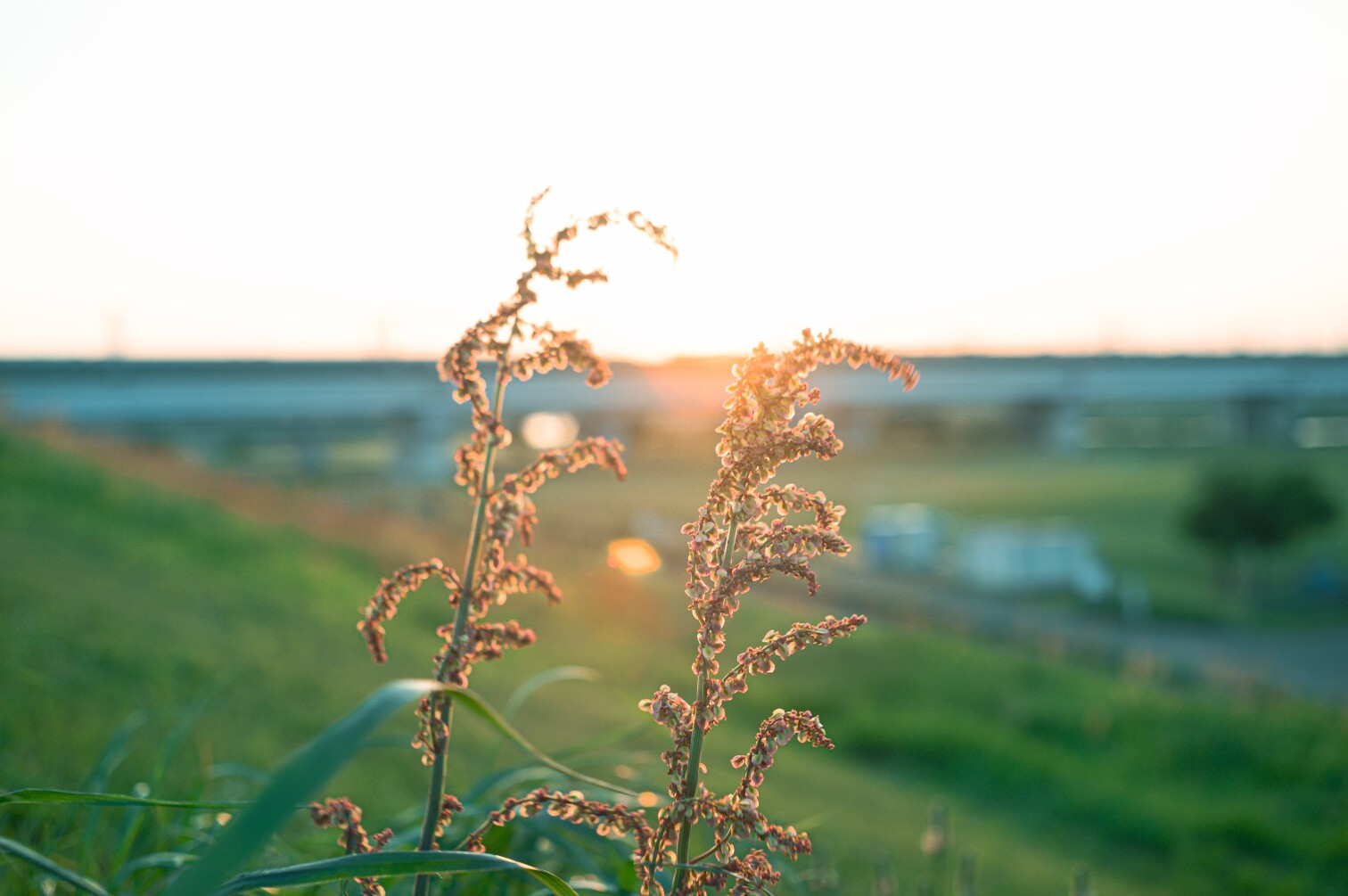 おはようございます 大丈夫 きっとうまく... / vlog_tottiyさんのモーメント | YAMAP / ヤマップ