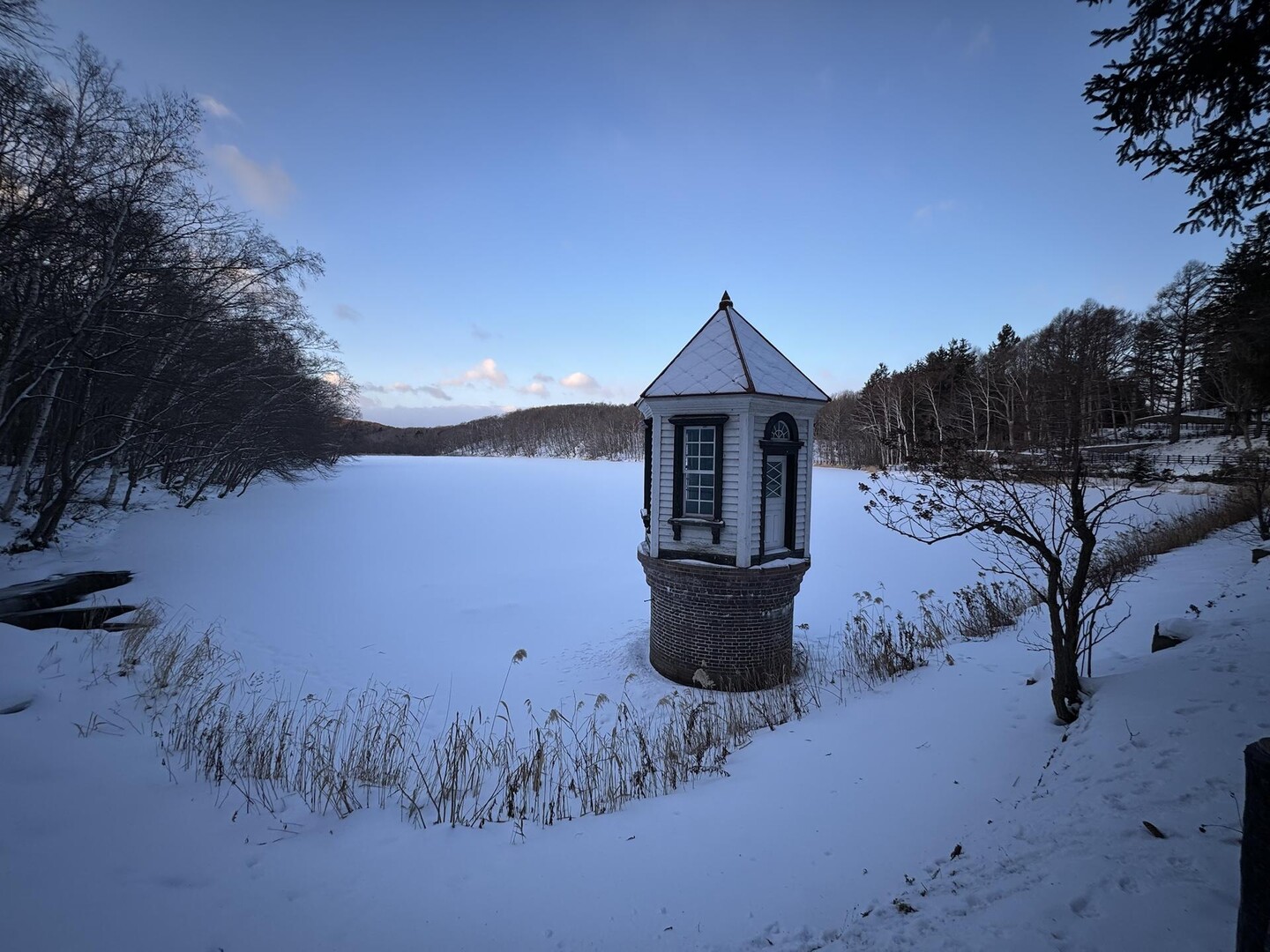 西岡公園 / dadswebさんの白旗山の活動データ | YAMAP / ヤマップ