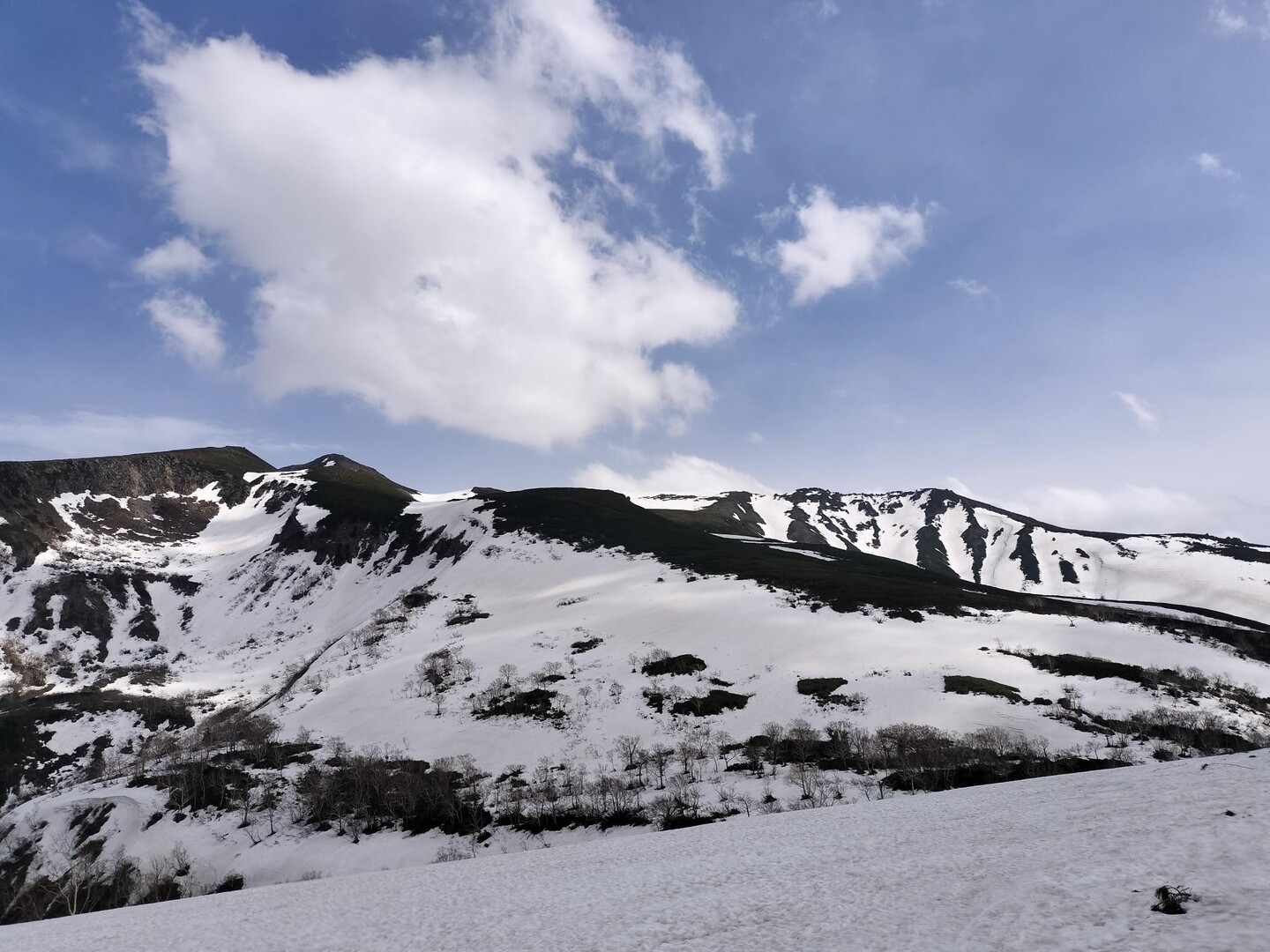 愛山渓から2024春山 / sikasunさんの大雪山系・旭岳・トムラウシの活動データ | YAMAP / ヤマップ