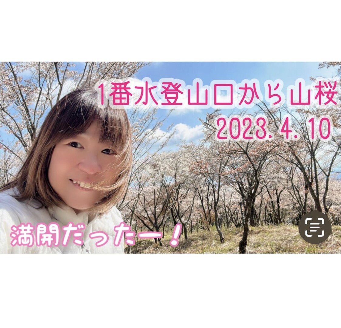 今頃 山桜の動画もどうかと思いますが 本... / mitsuko3 さんのモーメント | YAMAP / ヤマップ