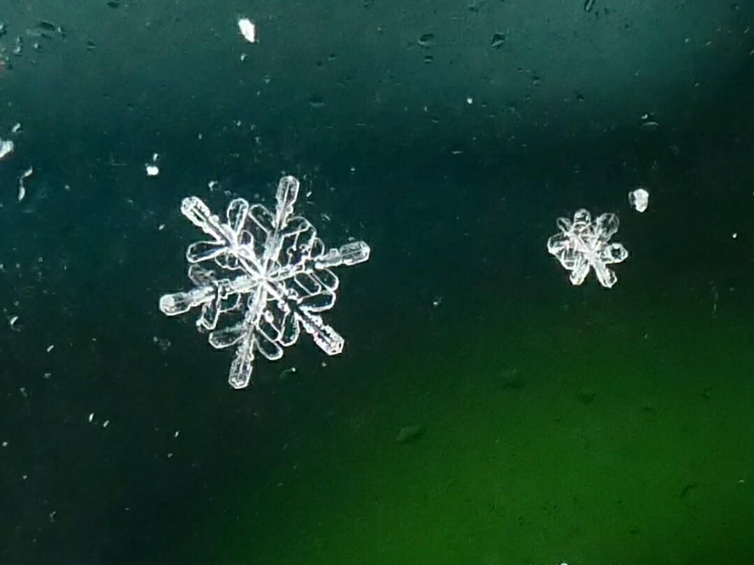 雪の結晶の美しさに魅せられ、寒さの中、撮... / yama0028さんのモーメント | YAMAP / ヤマップ