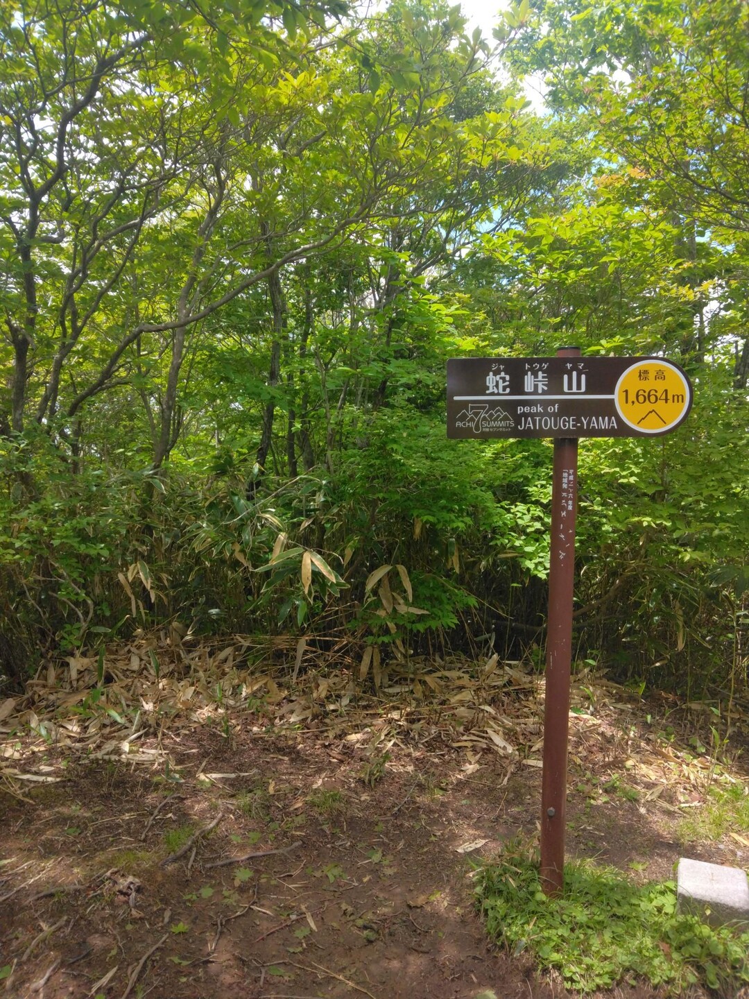 阿智セブンサミット 蛇峠山 / Pi-tan🐥さんの蛇峠山の活動データ | YAMAP / ヤマップ