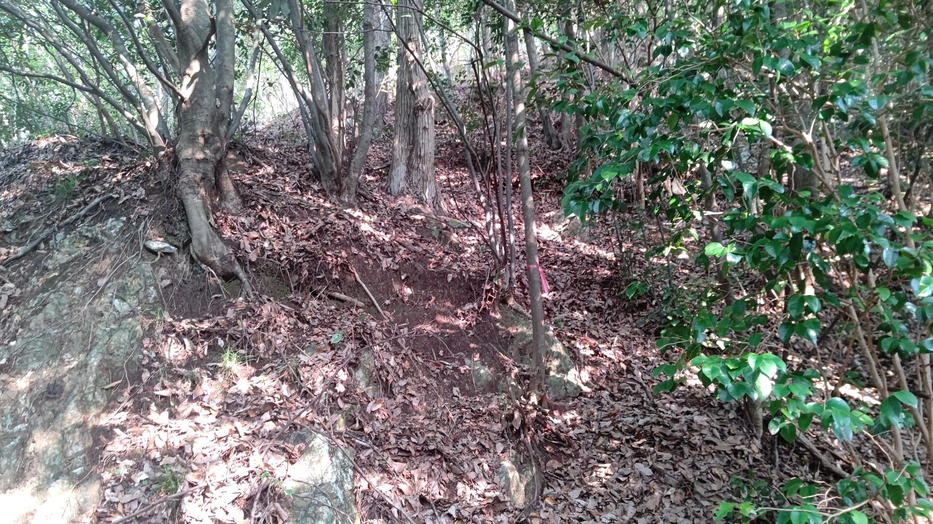 ypkun.さんの投稿したフィールドメモ | YAMAP / ヤマップ