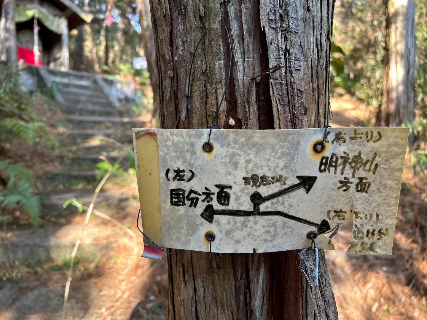 ぷーさん5646さんの投稿したフィールドメモ | YAMAP / ヤマップ