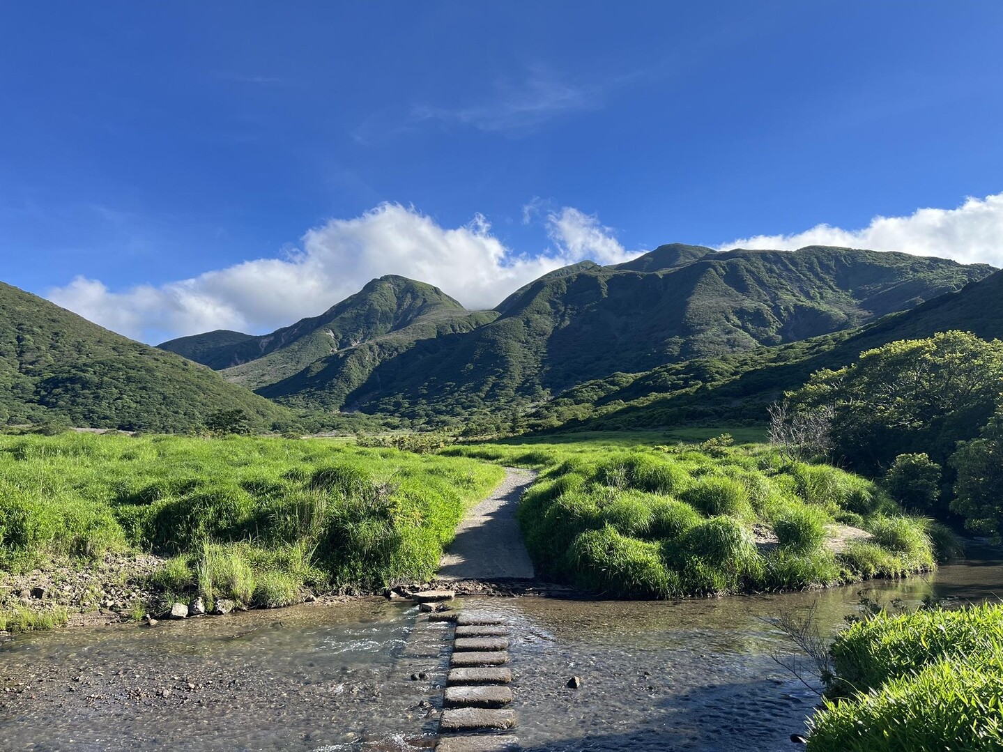 九重ウロウロ（ノーアタック） / tamuさんの九重山（久住山）・大船山・星生山の活動データ | YAMAP / ヤマップ