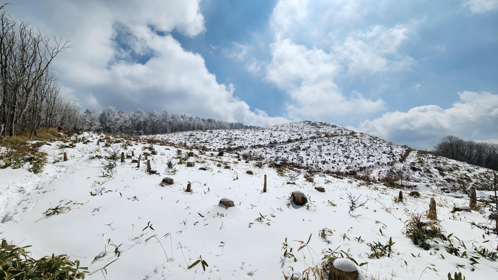皿ヶ嶺 / gyamiさんの皿ヶ嶺・梅ヶ谷山・うなめごの活動データ | YAMAP / ヤマップ