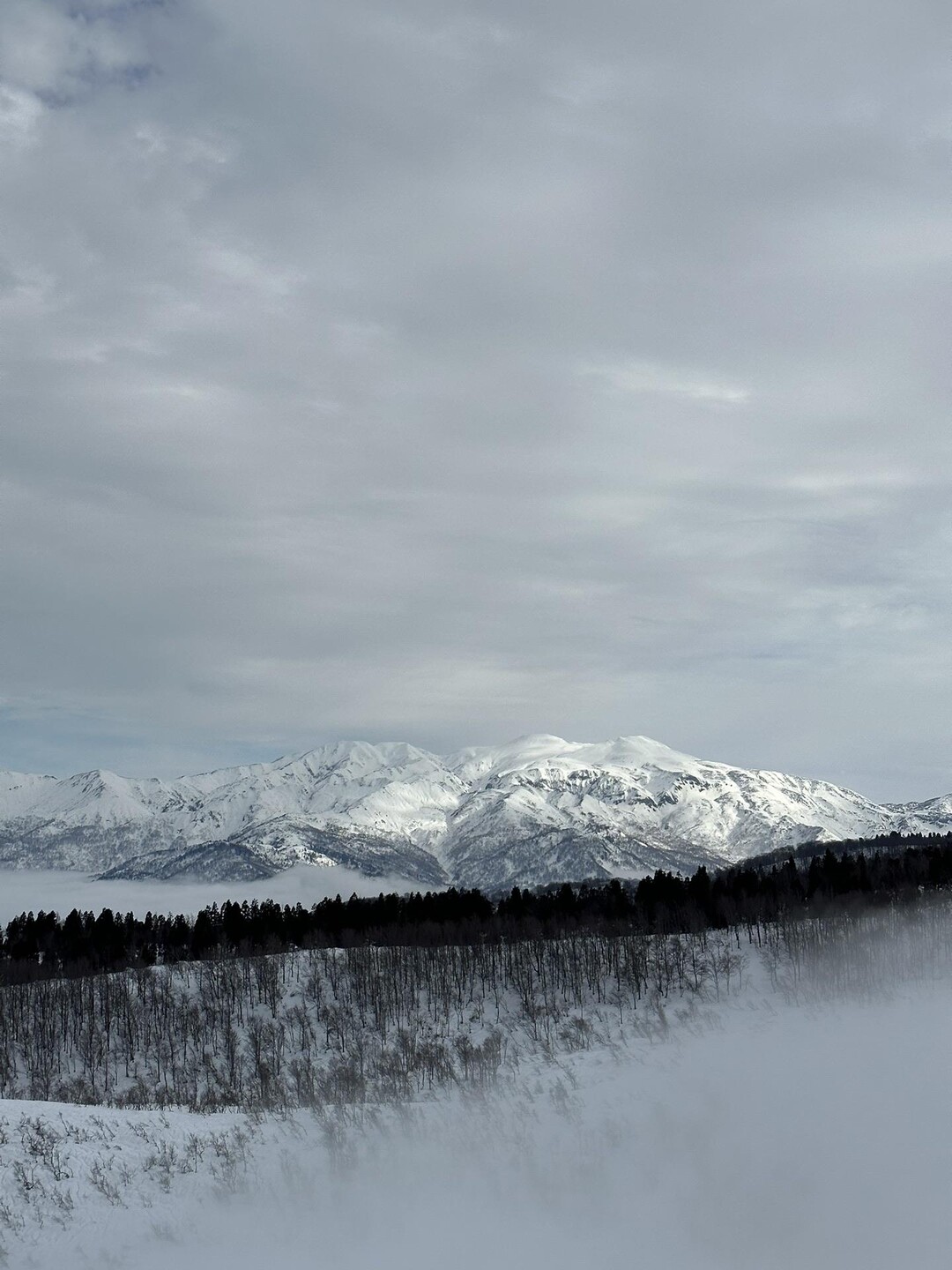 取立山 / higeさんの取立山の活動データ | YAMAP / ヤマップ