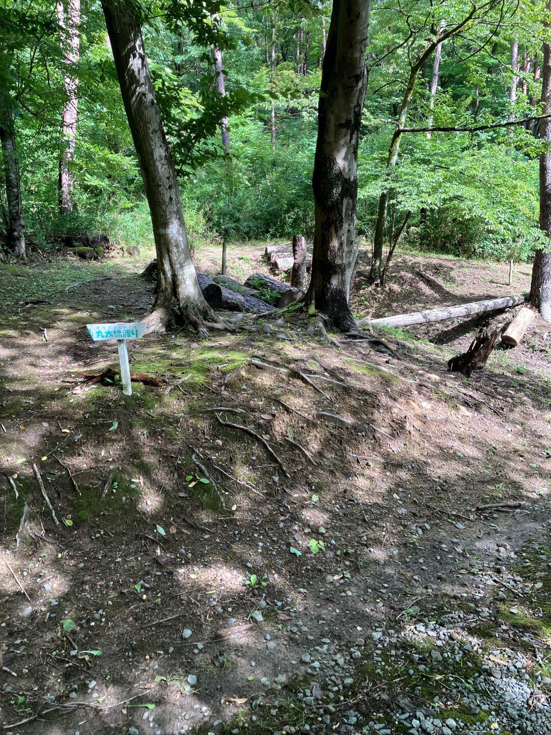 johnny yahさんの投稿したフィールドメモ | YAMAP / ヤマップ