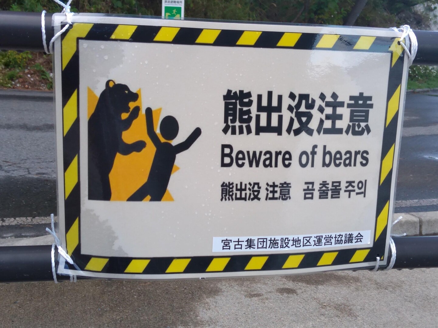 浄土ヶ浜にも熊が / ニッコウキスゲさんのモーメント | YAMAP / ヤマップ