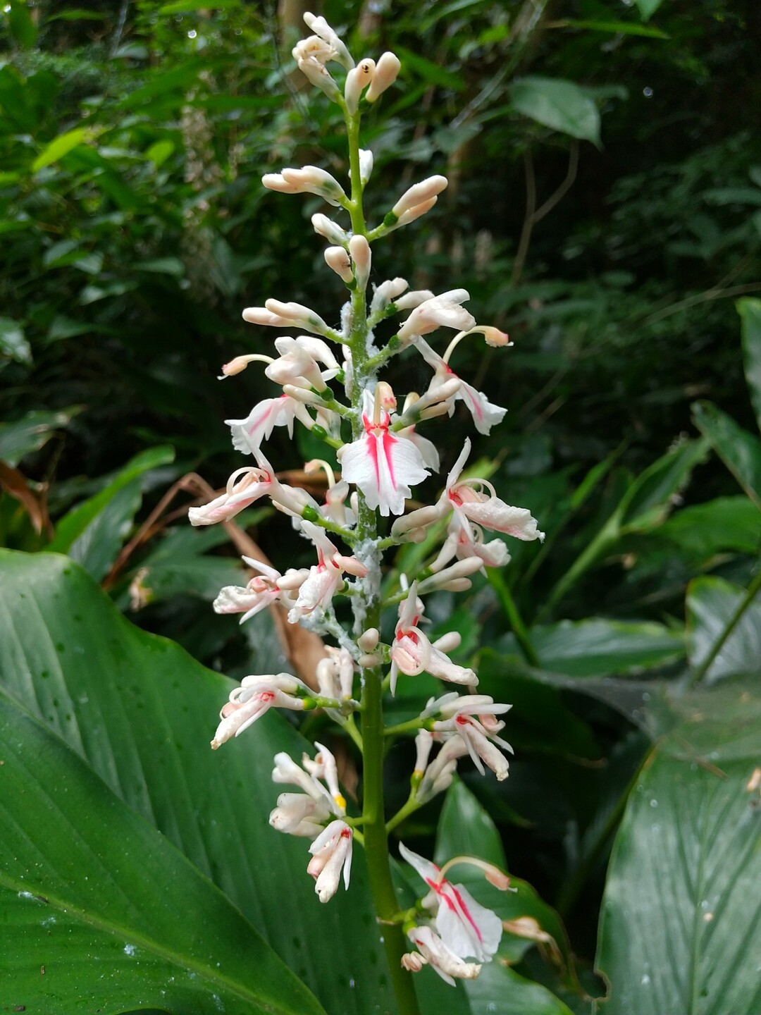 20mの山 / エミリーさんのウォーキングの活動データ | YAMAP / ヤマップ