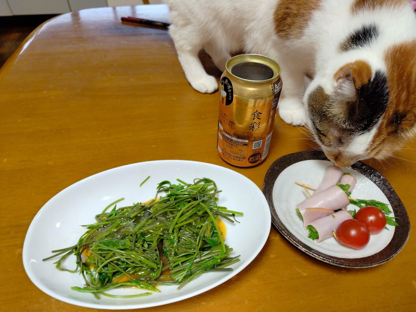 魚沼の春 ① / ニャン002さんの鳥屋ヶ峰の活動データ | YAMAP / ヤマップ