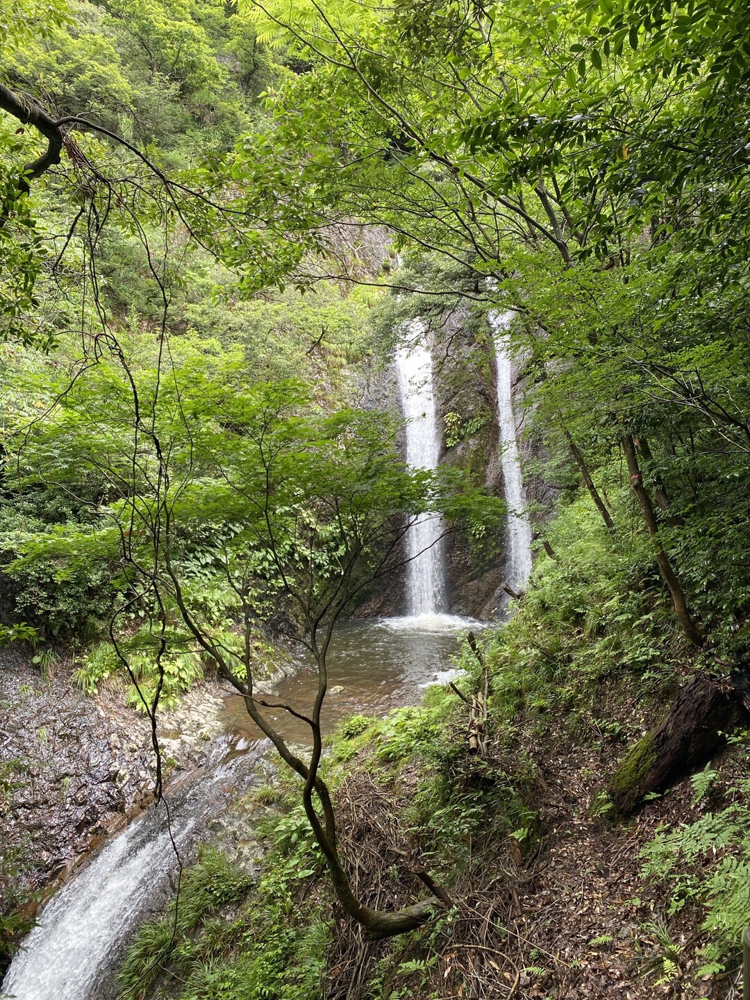 鞍掛山(9回目) 鶴ヶ滝登山道〜展望岩往復 / jt0450さんの鞍掛山・後山・三童子山の活動データ | YAMAP / ヤマップ