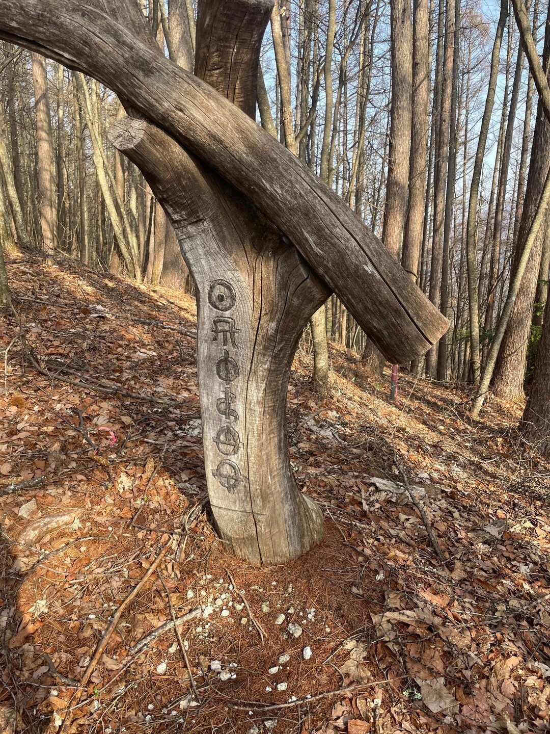 網掛山 / kato8686さんの網掛山の活動データ | YAMAP / ヤマップ