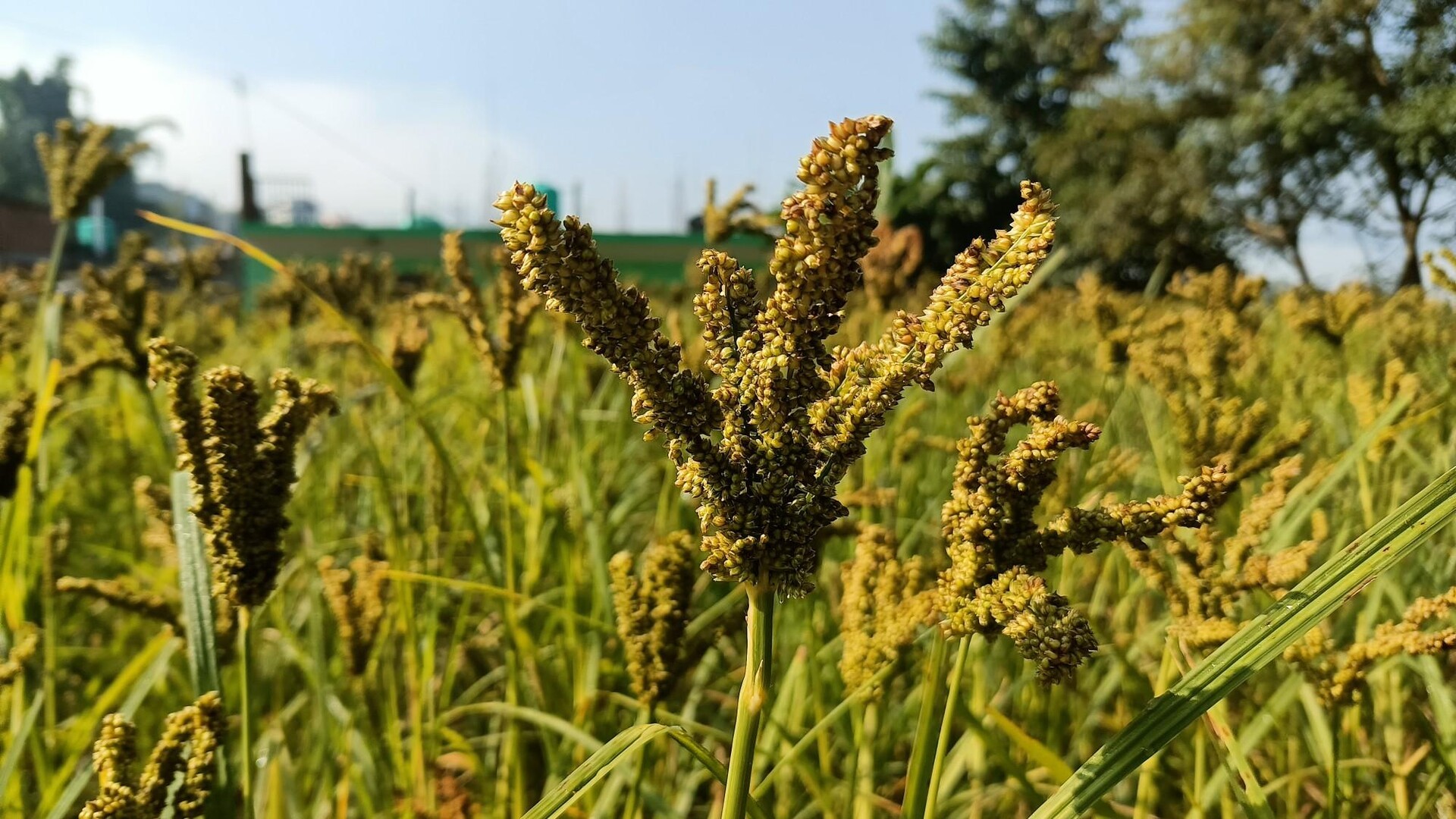 エベレストベースキャンプトレッキングを終... / k420さんのモーメント | YAMAP / ヤマップ