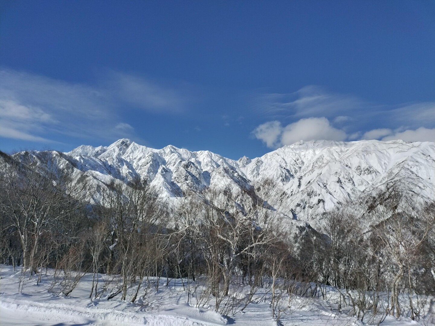 白馬五竜 HAKUBA47 シーズンイ... / patalliroさんのモーメント | YAMAP / ヤマップ