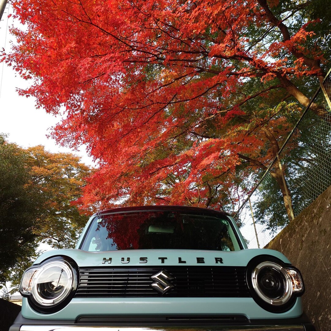 近くの幼稚園にて! 紅葉してると聞いて愛... / Soraさんのモーメント | YAMAP / ヤマップ